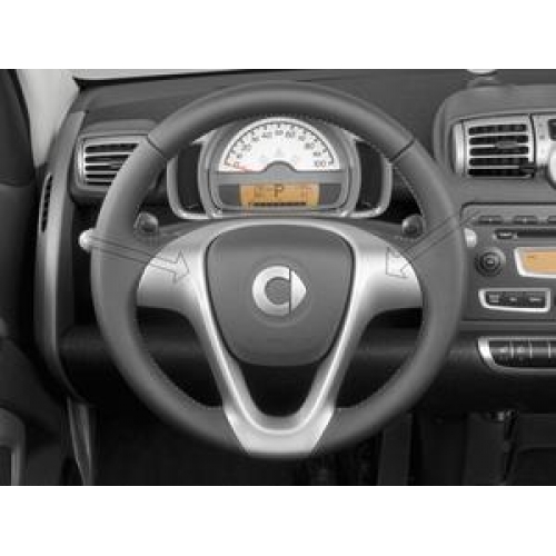 smart car Center Steering Wheel Trim Piece - stock Silver finish